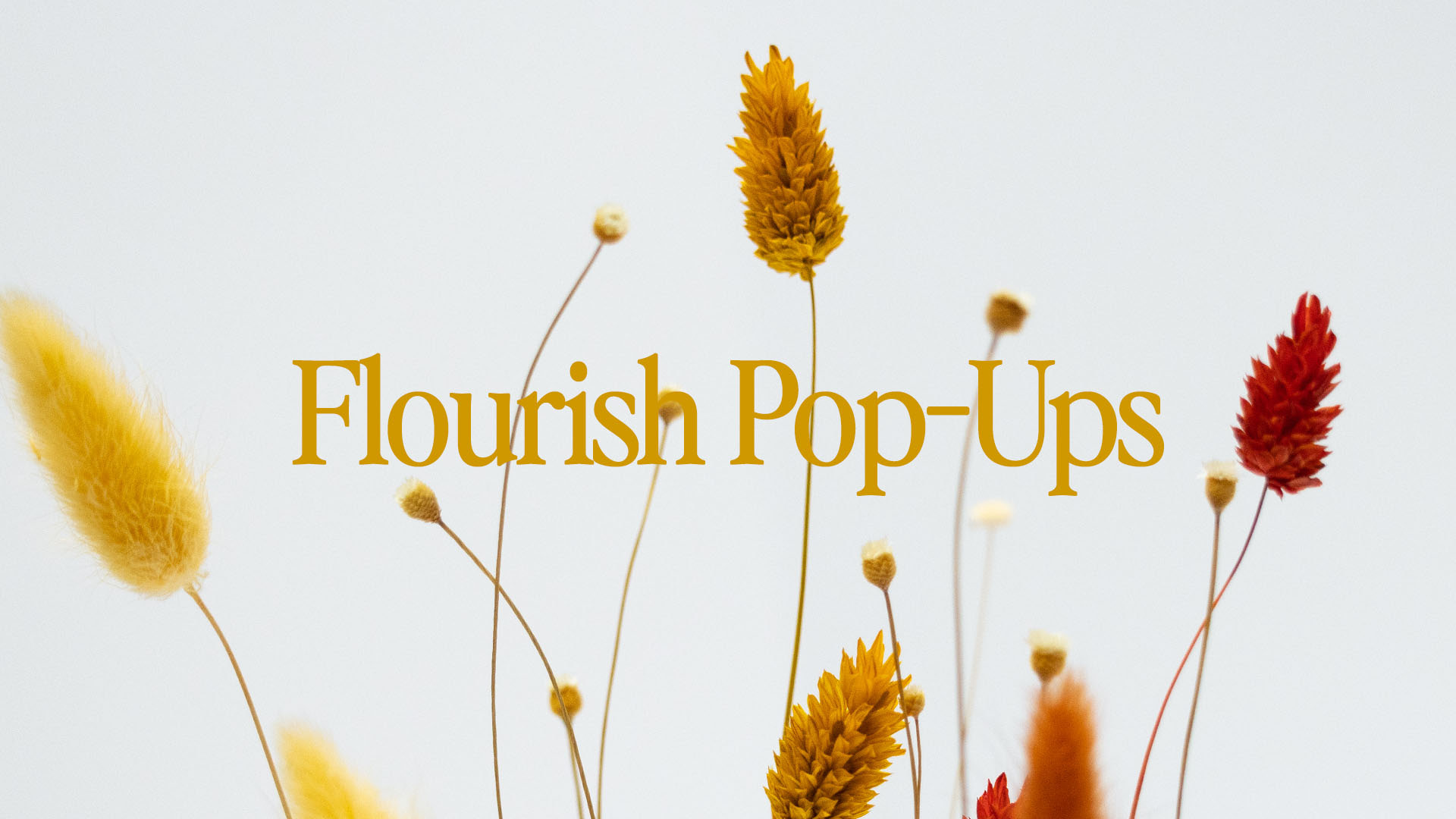 Flourish | For The Ladies of the Fresh Life House | Fresh Life Church