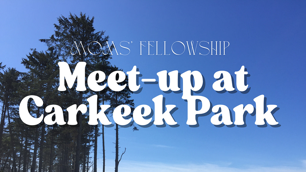 Meet-up at Carkeek Park - University Presbyterian Church