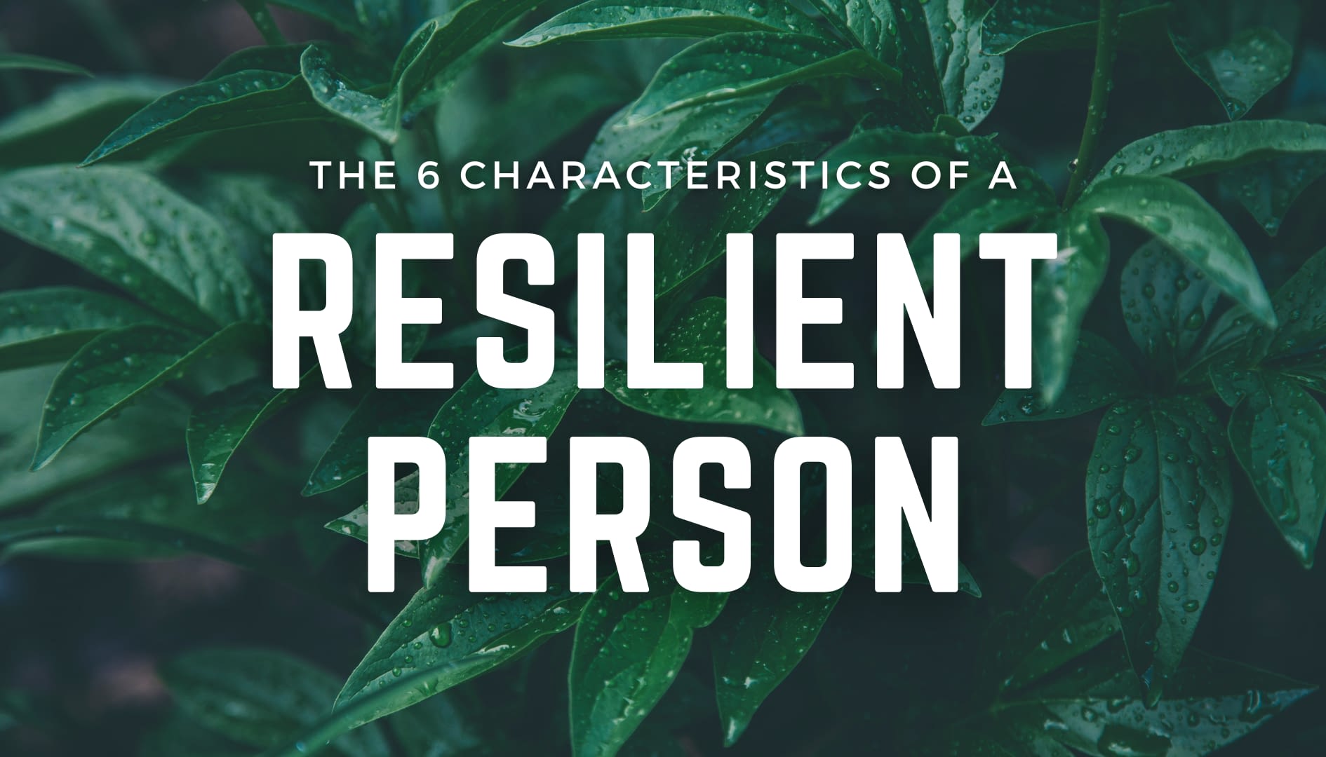 The 6 Characteristics Of A Resilient Person The 6 Characteristics Of A Resilient Person