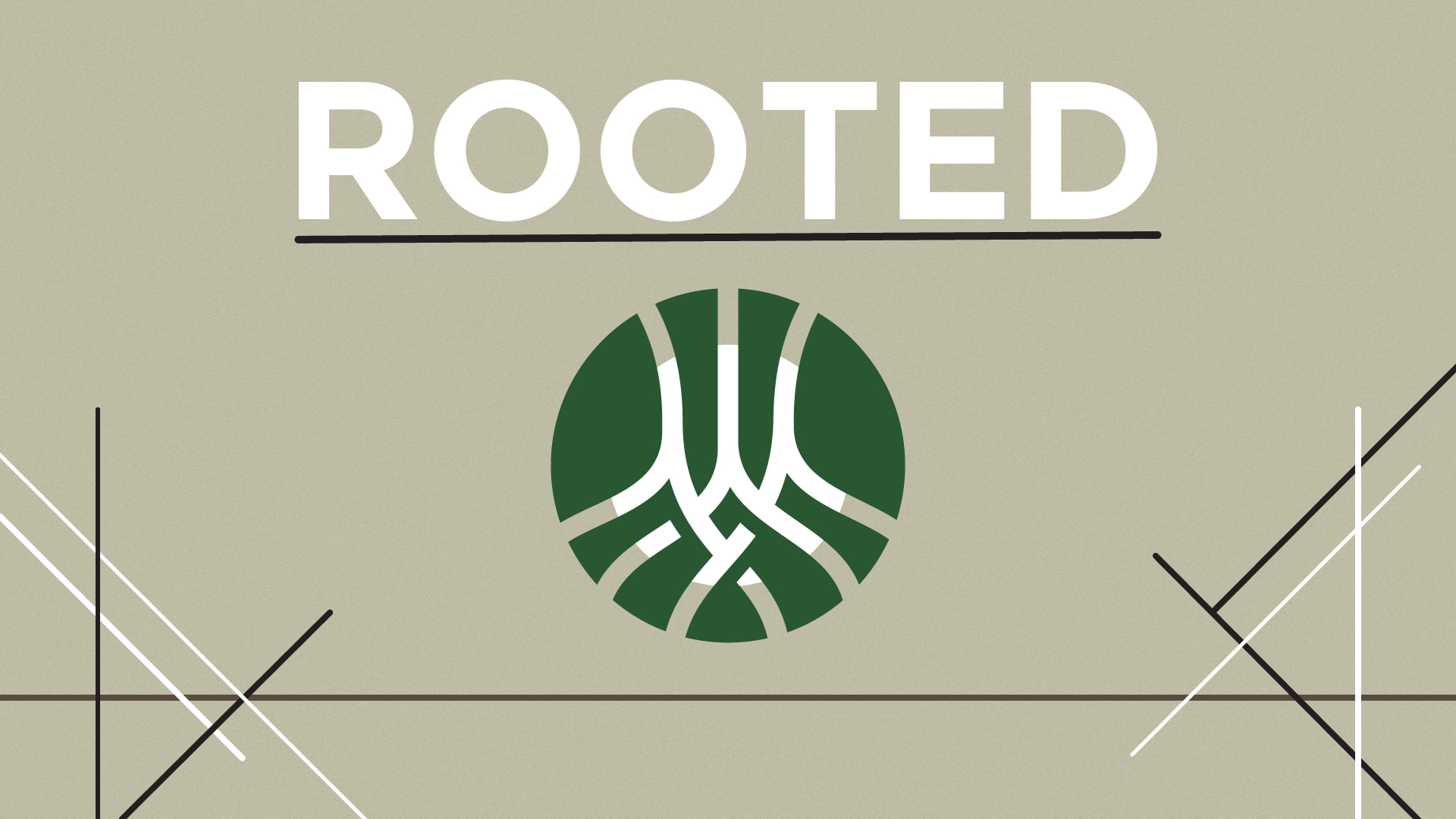 My Rooted Experience - Browncroft Community Church